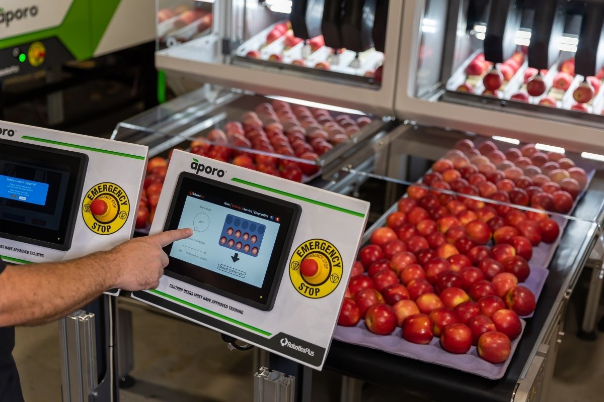 Game-changer in Fruit Packing - Supermarket News