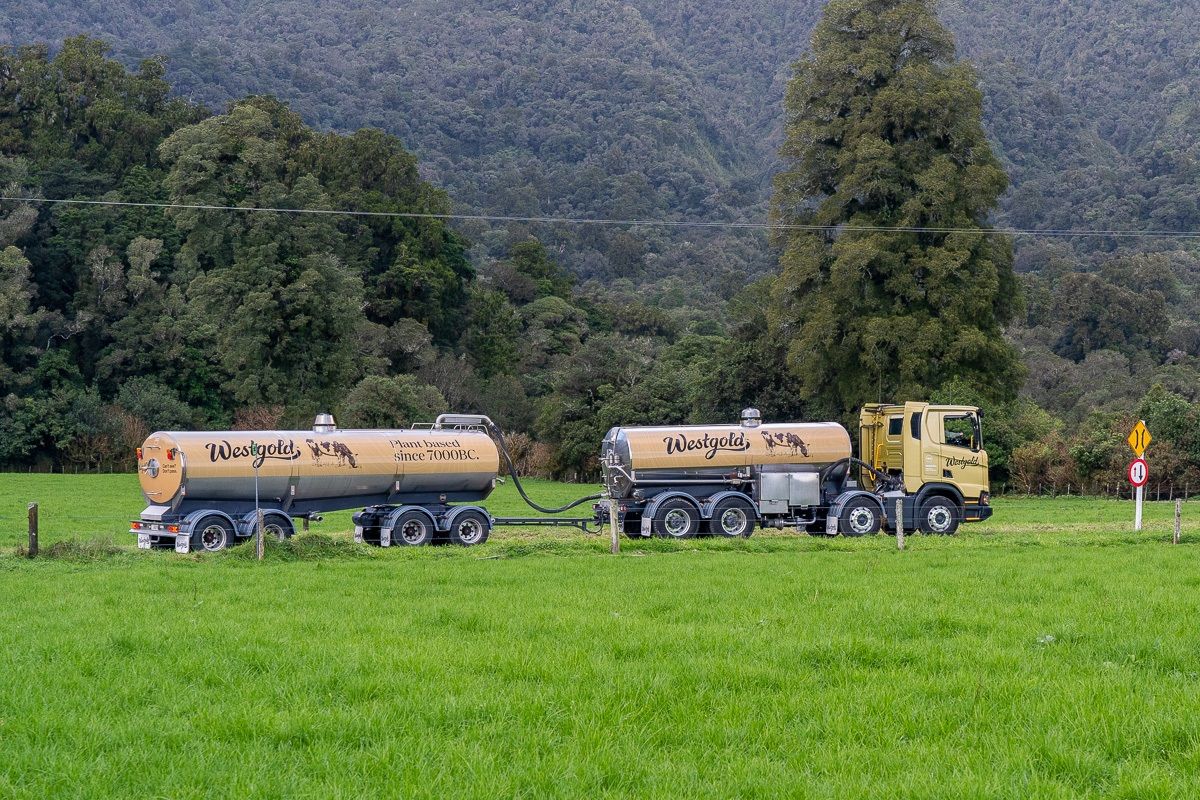 New Milk Tankers Spreading The Westgold Message - Supermarket News