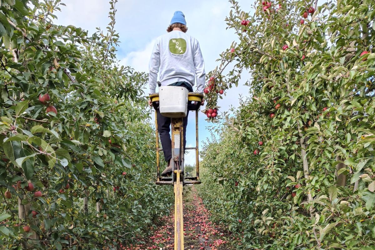 Making Fresh Produce Accessible For All - Supermarket News