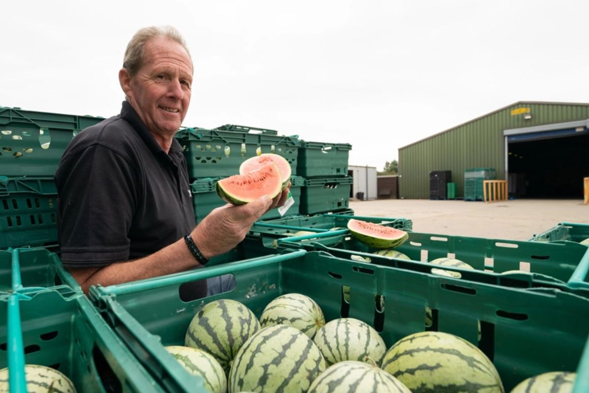 Great News Watermelon Fans - Supermarket News