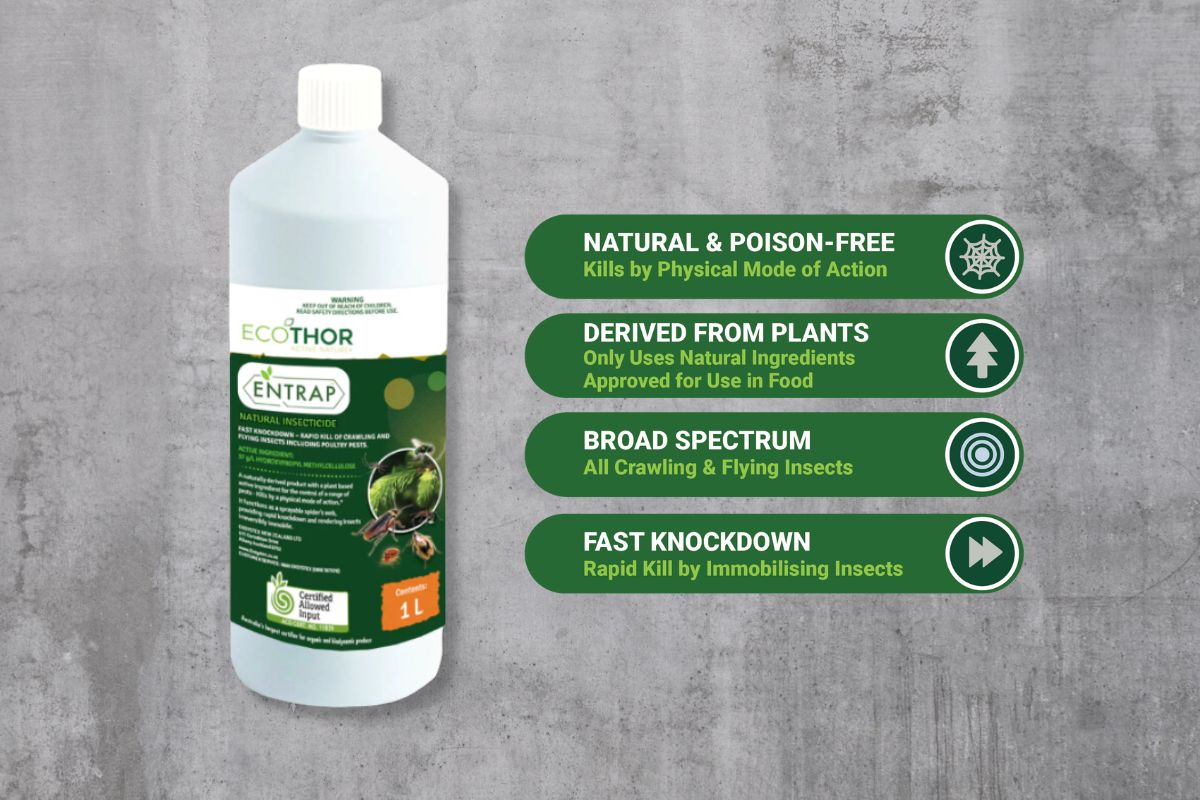 The Poison-Free Pest Solution - Supermarket News