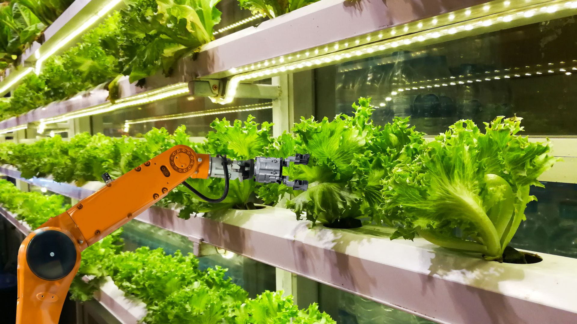 Nine Food Processing Trends - Supermarket News