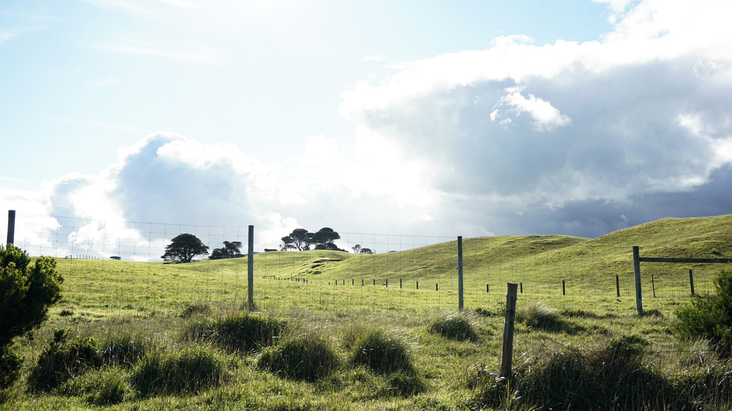 Australia's National Farm Safety Week - Supermarket News