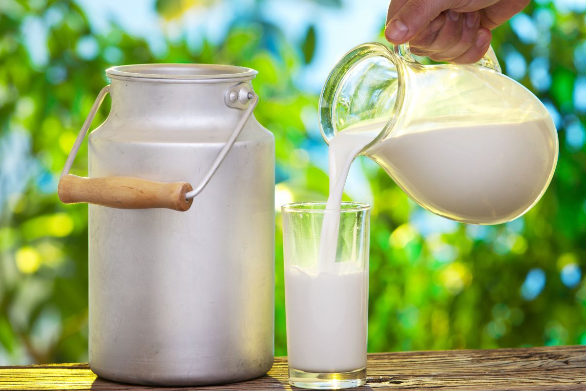 Fonterra Announces 2025/26 Farmgate Milk Price - Supermarket News