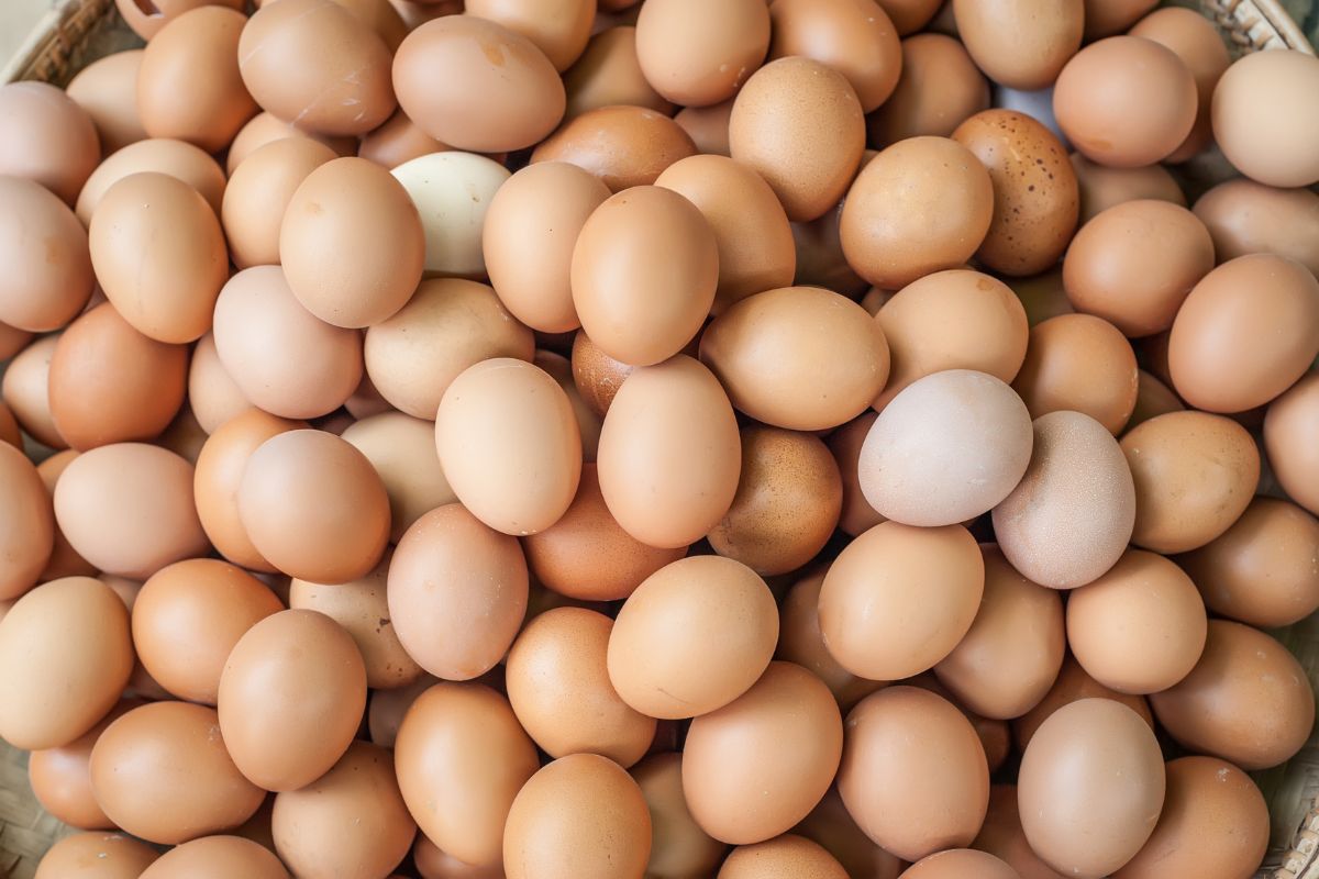 Doreen Egg Fined by ACCC - Supermarket News